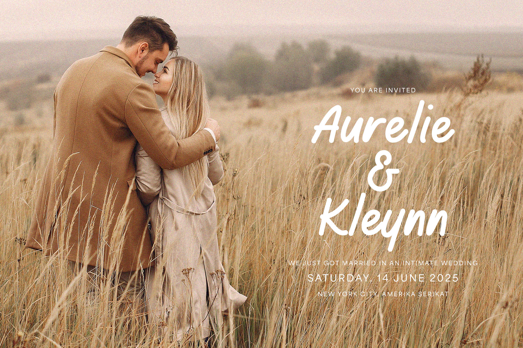 Skylight – A Handwritten Font with a Touch of Elegance – Circle Font