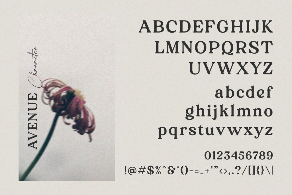 Cerita Avenue – Nostalgic Font Duo – Circle Font