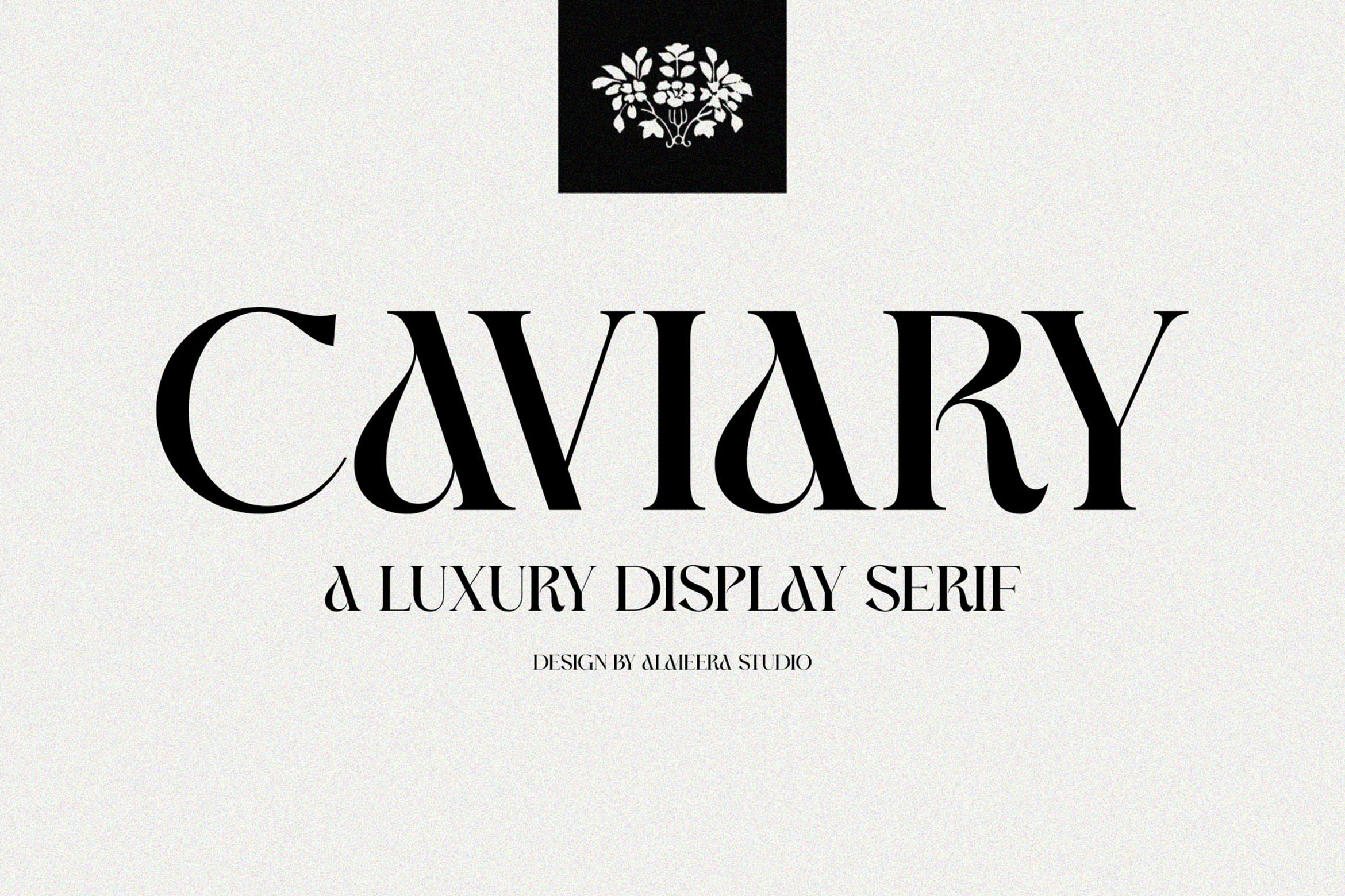 Caviary - Display Serif Font
